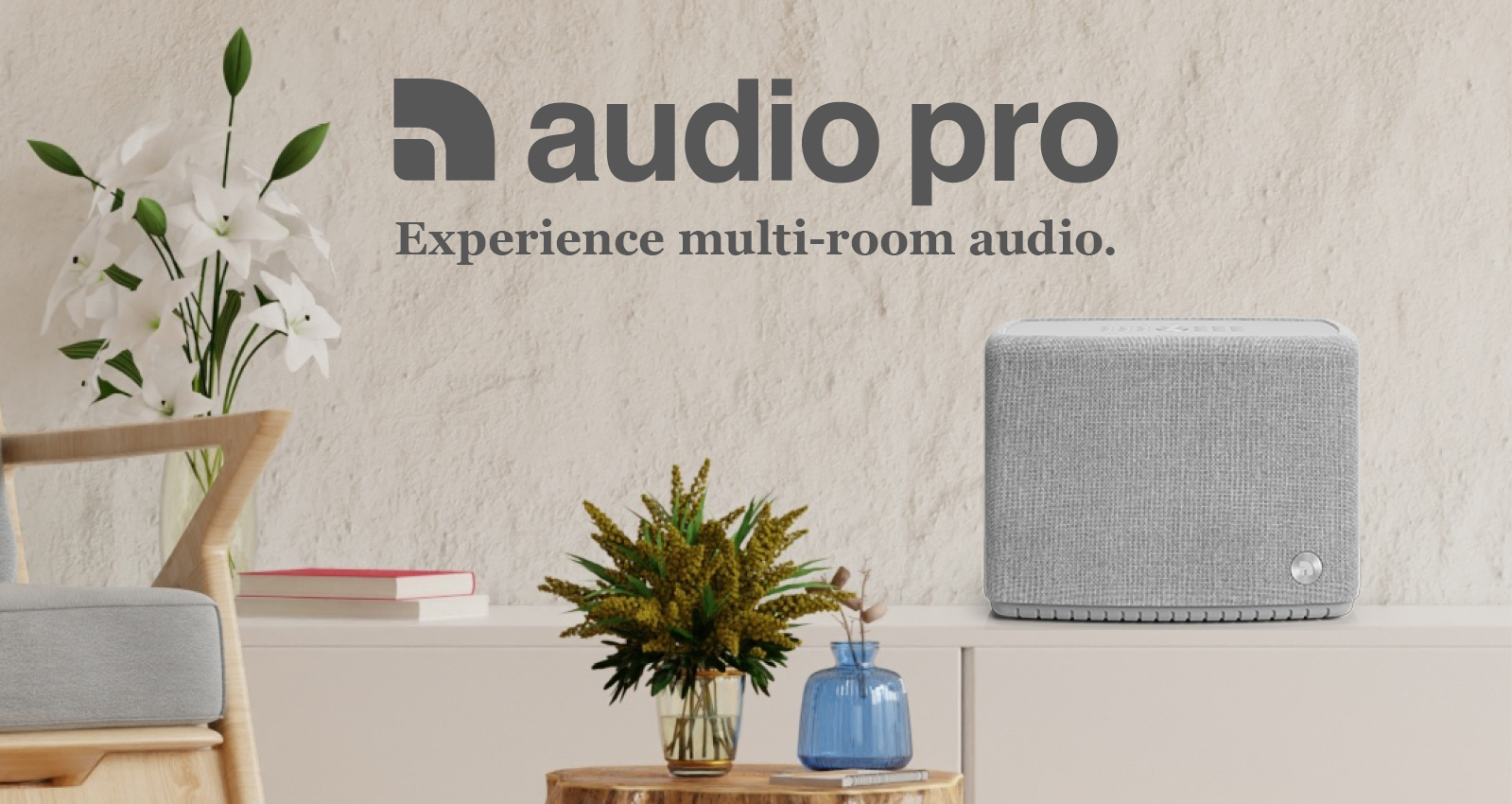 Audio Pro - Radio Parts